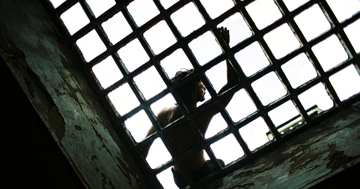 Which Bodies – Installation - tanzhaus nrw düsseldorf